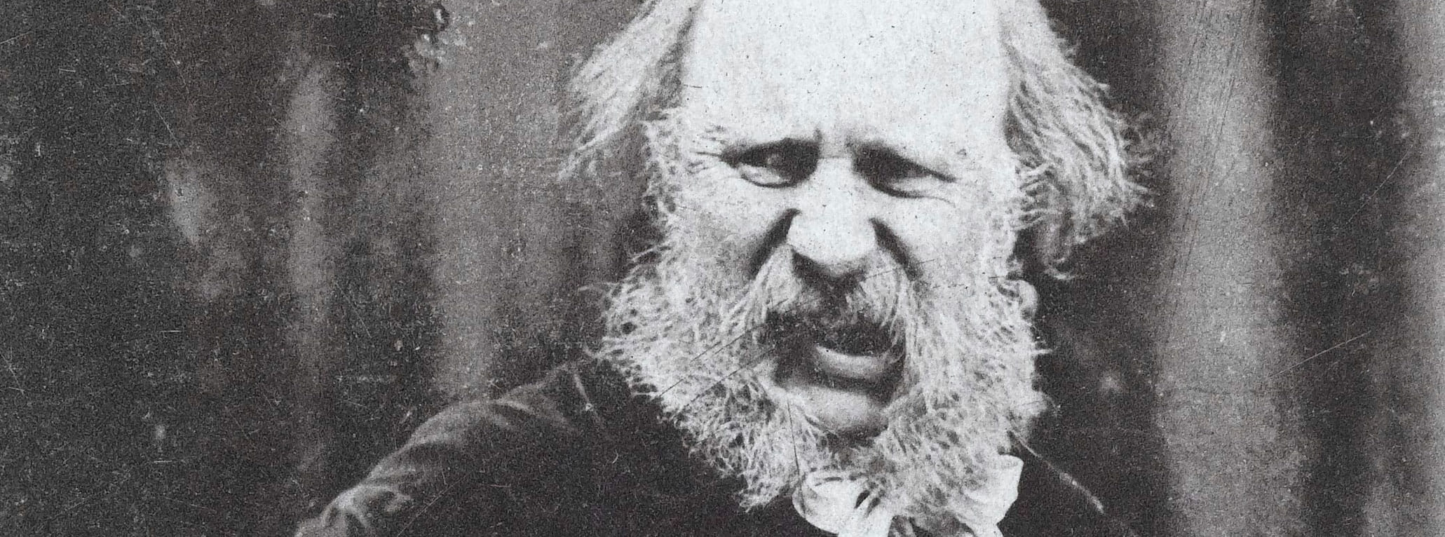 Disgust - The Emotions Lab